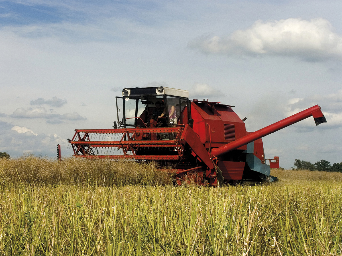 ACIERS – Madacier, votre expert de l'acier